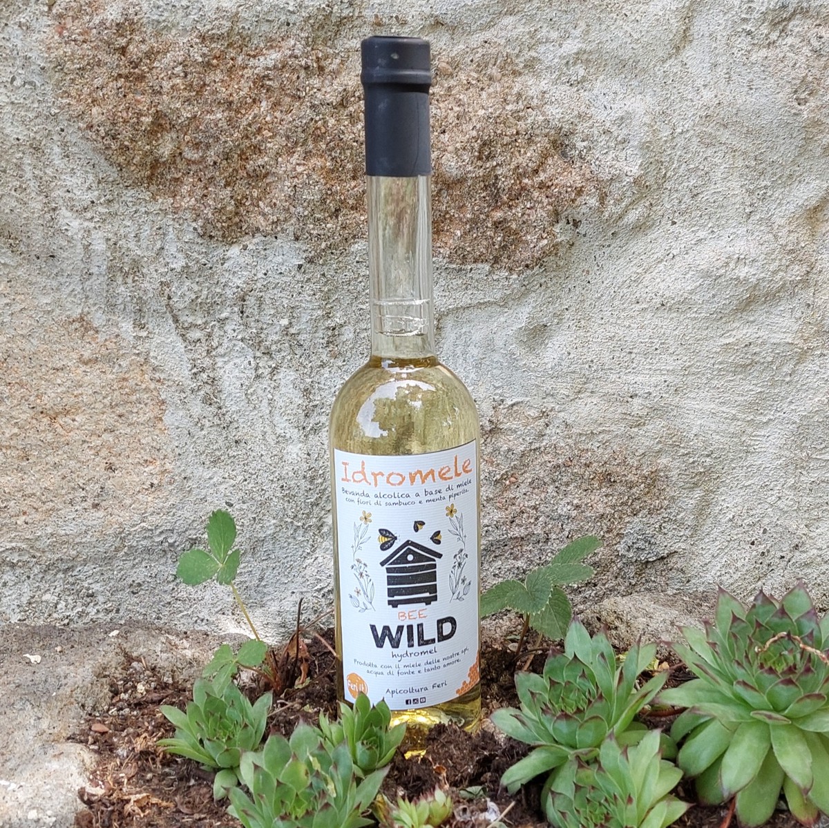 Idromele Toscano 0,5 Lt – Fiori Sambuco e Menta – Apicoltura Feri